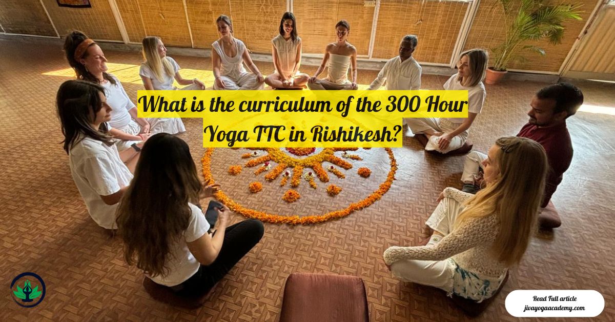 What is 300 Hour Yoga TTC [Detailed Guide]